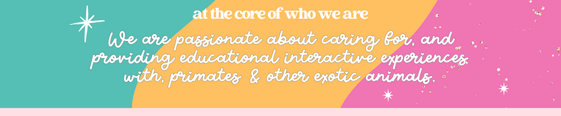 Funky Monkey Ranch Foundation