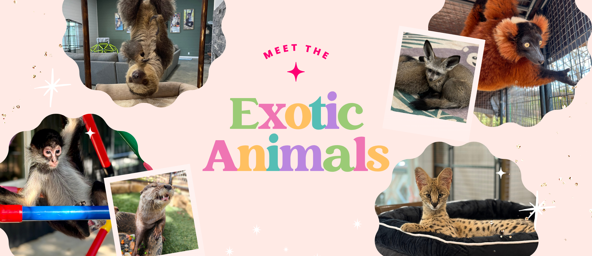 Private Exotic Animal Encounter – Funky Monkey Ranch Foundation