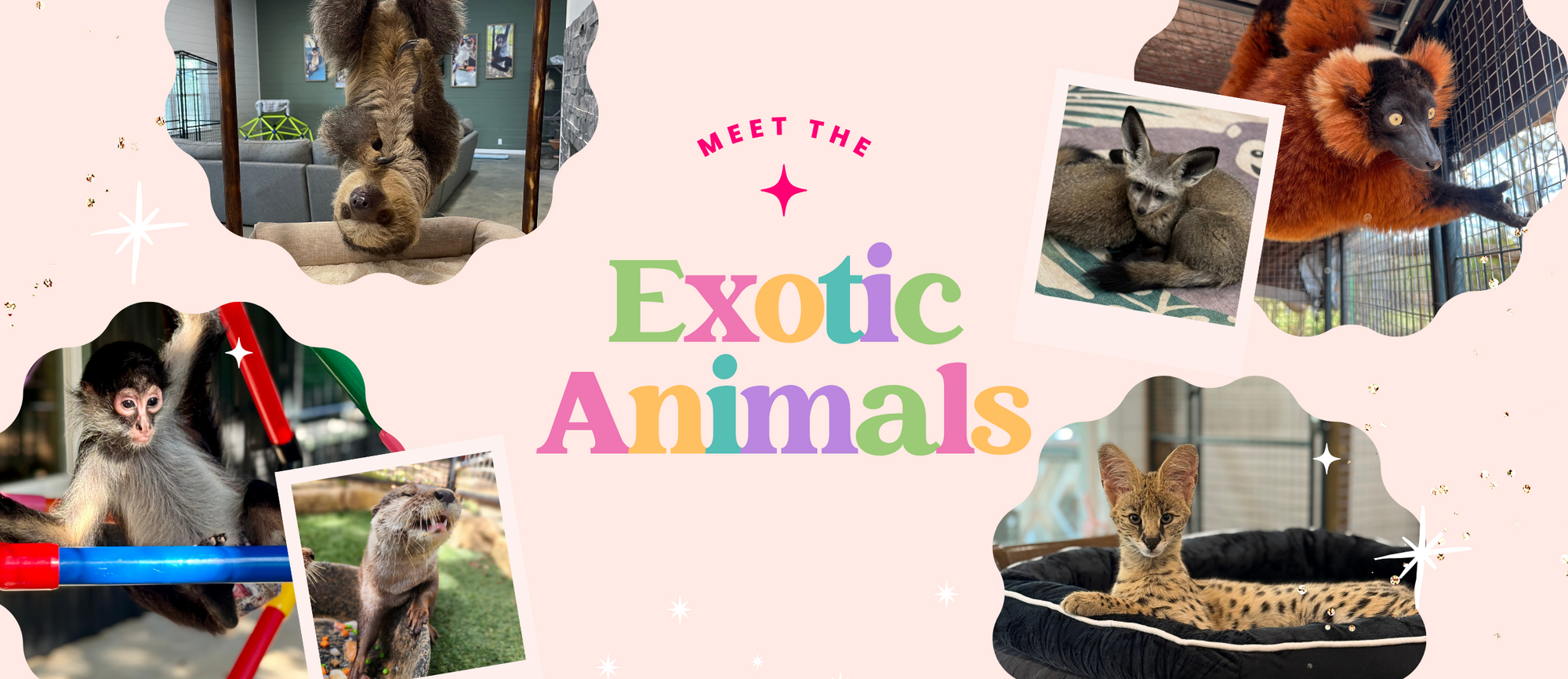 Private Exotic Animal Encounter – Funky Monkey Ranch Foundation