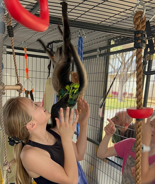 Monkey Parties – Funky Monkey Ranch Foundation